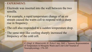 Thermoreception in Insects | PPTX