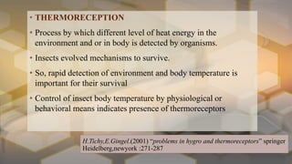 Thermoreception in Insects | PPTX