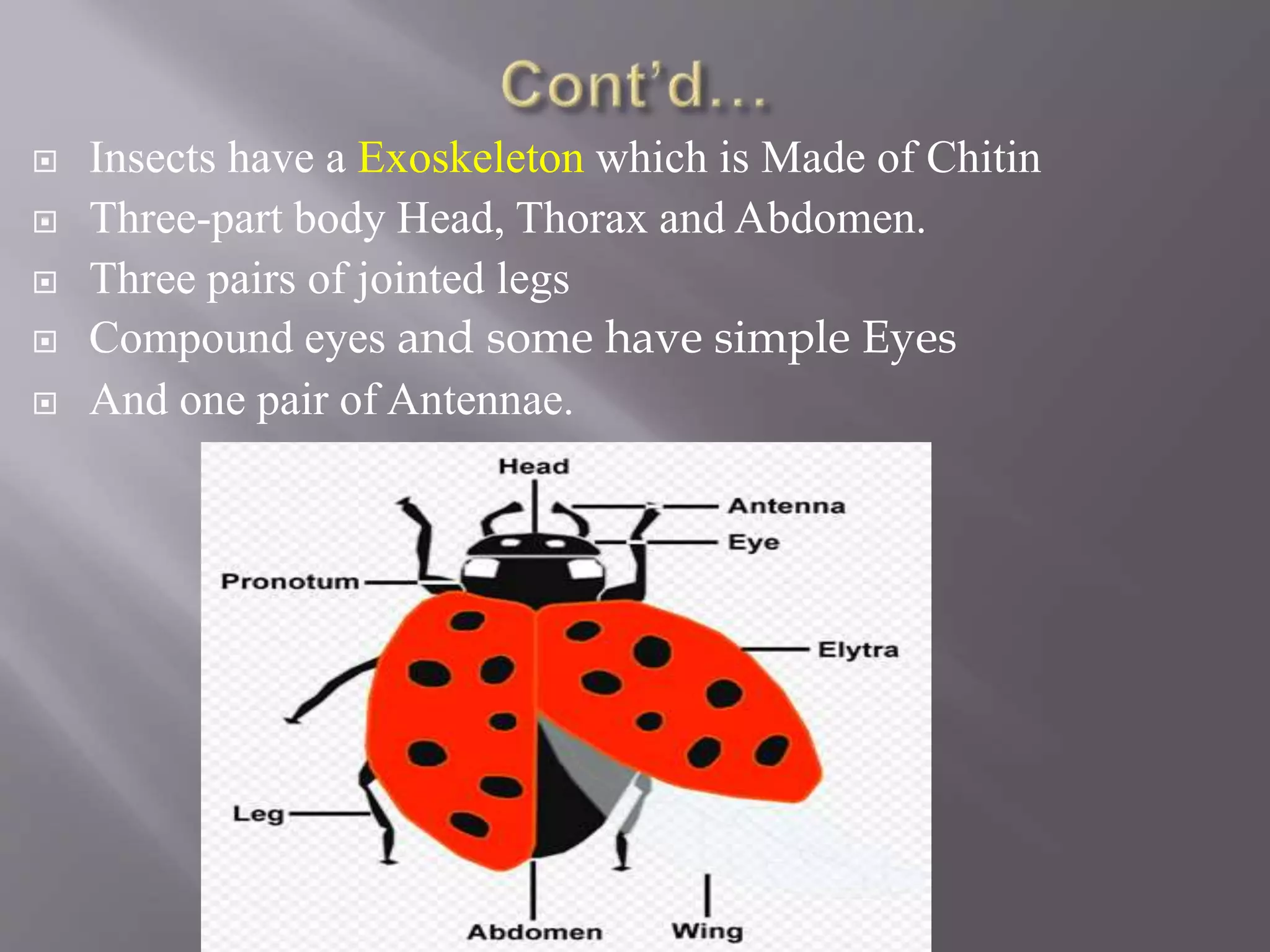 Introduction to Entomology | PPTX