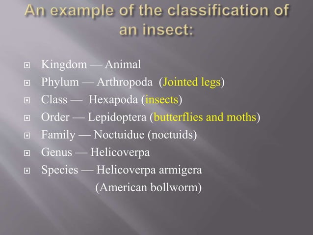 Introduction to Entomology | PPTX | Beekeeping | Hobbies & Interests