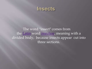 Introduction to Entomology | PPTX