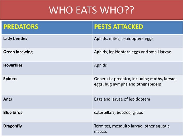 IMPORT AND EXPORT OF NATURAL ENEMIES OF AGRICULTURAL PEST | PPTX ...