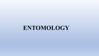 Entomology | PPT