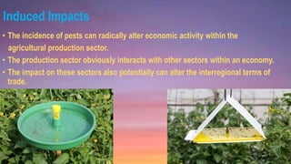 Economic consideration of integrated pest management | PPT