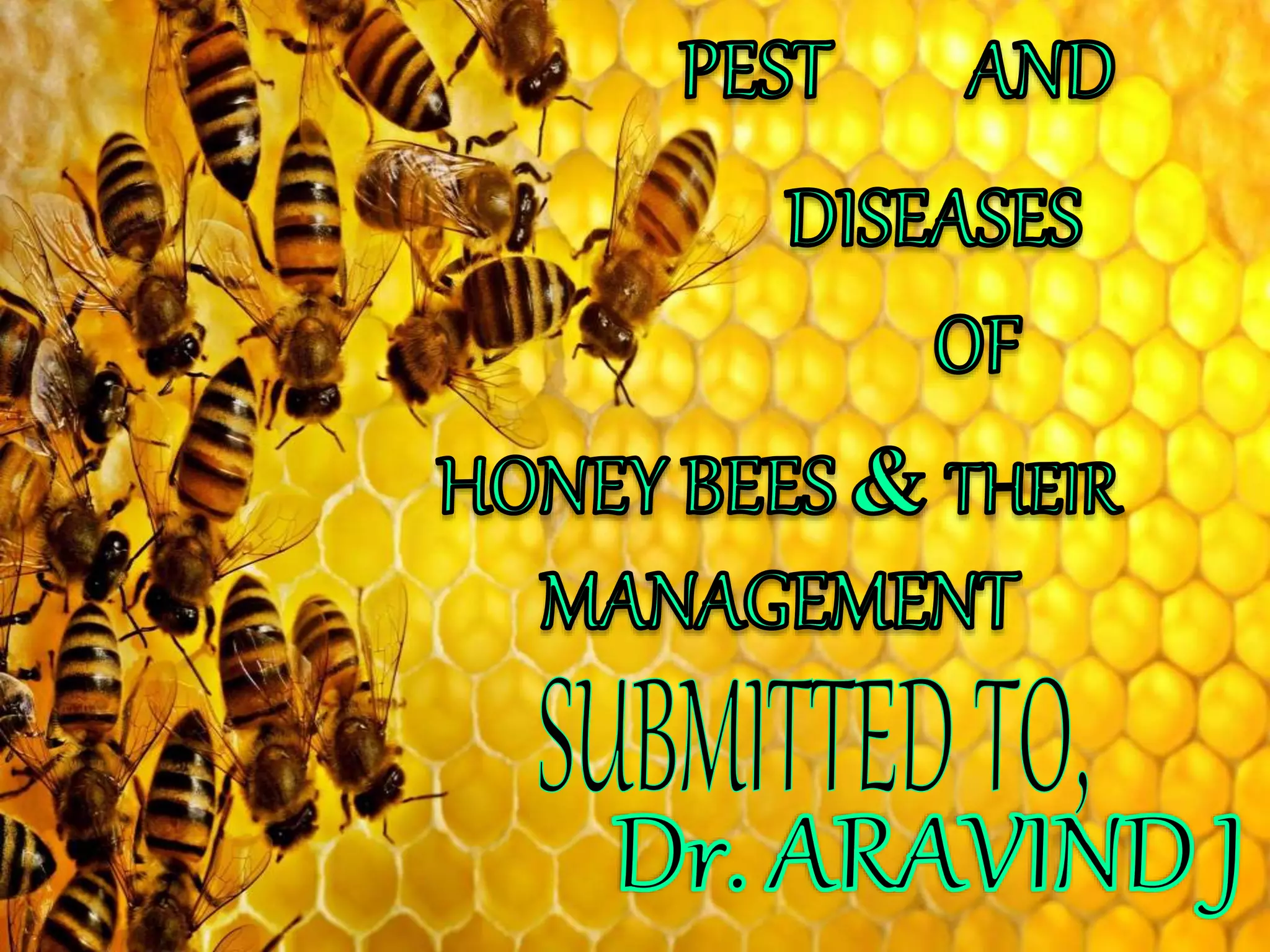 Pest and diseases of Honeybees | PPTX