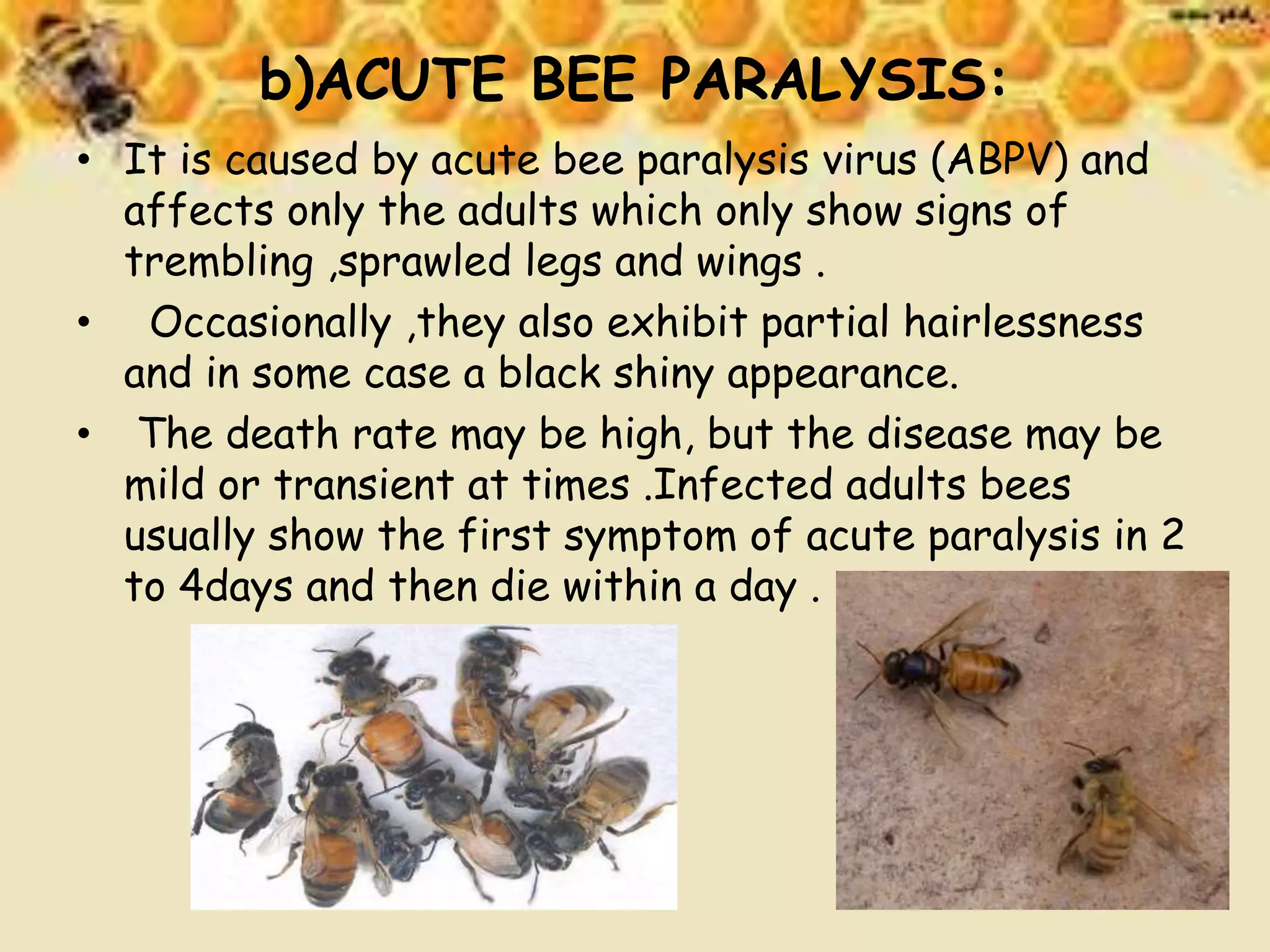 Pest and diseases of Honeybees | PPTX