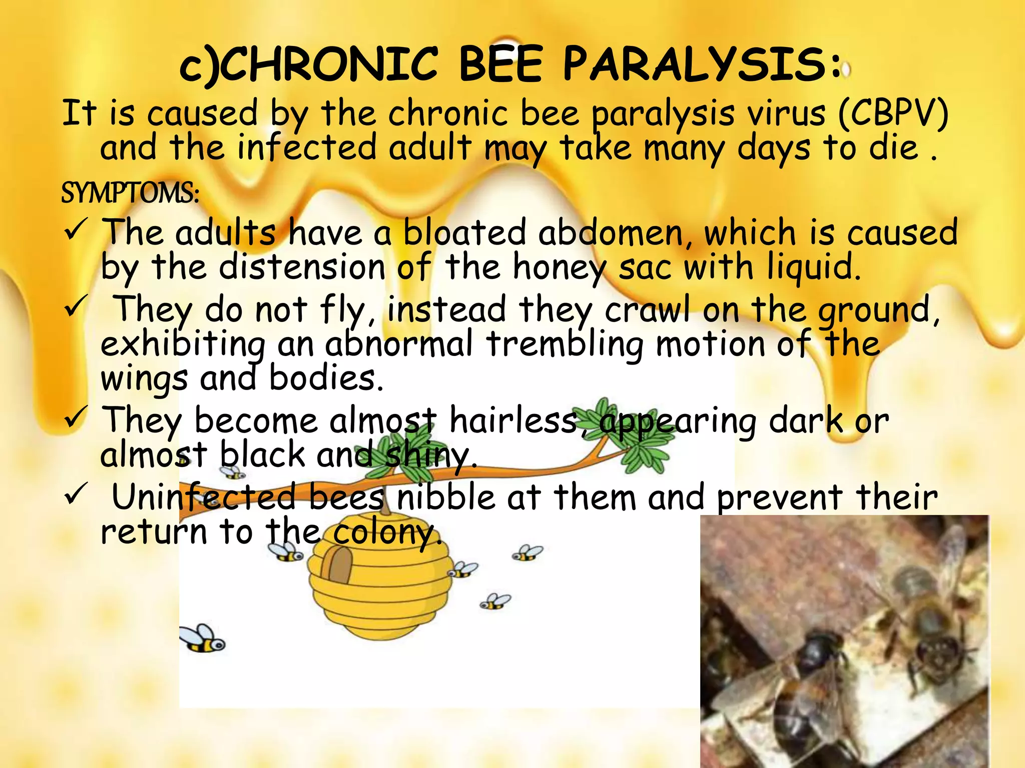 Pest and diseases of Honeybees | PPTX