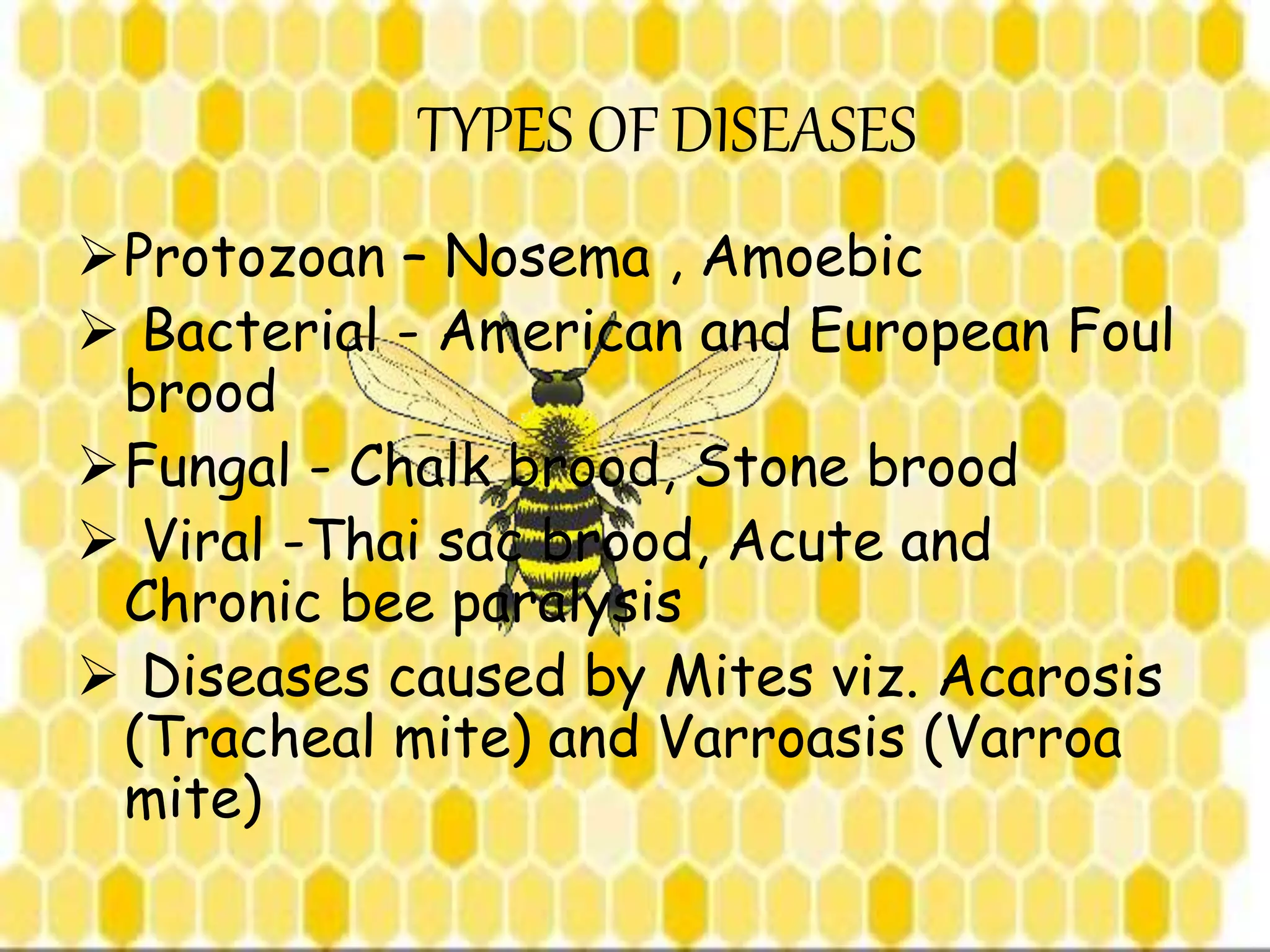 Pest and diseases of Honeybees | PPTX