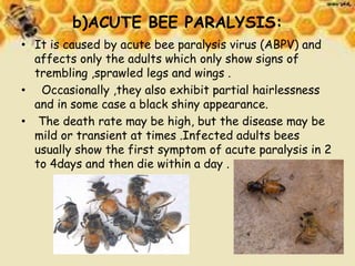 Pest and diseases of Honeybees | PPTX
