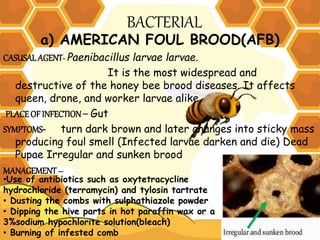 Pest and diseases of Honeybees | PPTX