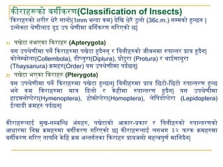 Entomology life cycle of insects .pptx