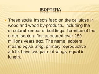 Introductory Entomology | PPTX