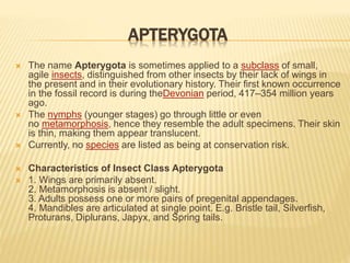 Introductory Entomology | PPTX
