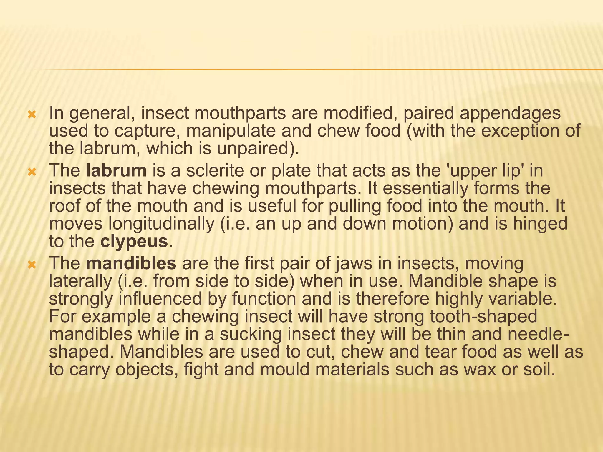 Insect mouth parts, Insect wing and its types and different systems of ...