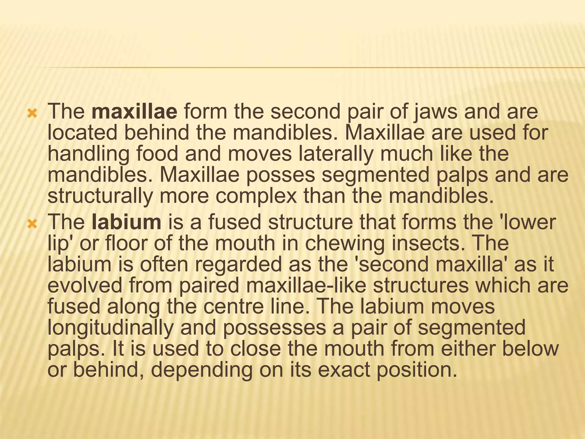 Insect mouth parts, Insect wing and its types and different systems of ...