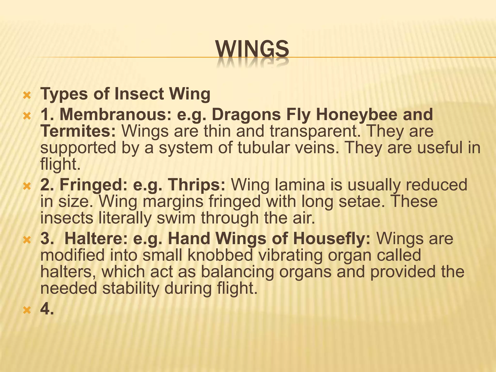 Insect mouth parts, Insect wing and its types and different systems of ...