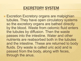 Insect mouth parts, Insect wing and its types and different systems of ...