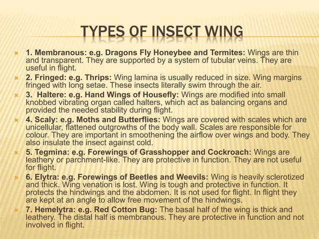 Insect mouth parts, Insect wing and its types and different systems of ...