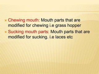 Insect mouth parts, Insect wing and its types and different systems of ...