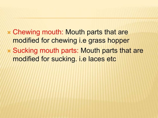 Insect mouth parts, Insect wing and its types and different systems of ...