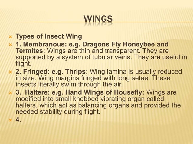 Insect mouth parts, Insect wing and its types and different systems of ...