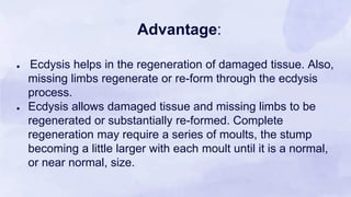 Moulting in insects(2).pptx