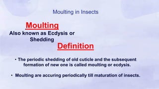 Moulting in insects(2).pptx