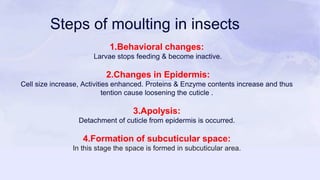 Moulting in insects(2).pptx