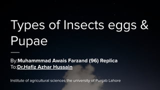 Types of Insects eggs and Pupae slideshare | PDF