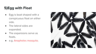 Types of Insects eggs and Pupae slideshare | PDF