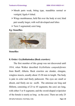 Entomology in agriculture for undergraduate | PDF