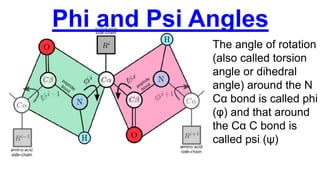 Entomology class.ppsx