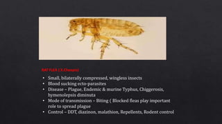 Entomology Practicle of community medicine | PPT