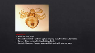 Entomology Practicle of community medicine | PPT