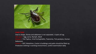 Entomology Practicle of community medicine | PPT