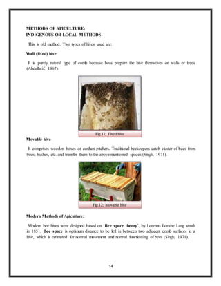 Entomology industries assignment 2 ento | PDF
