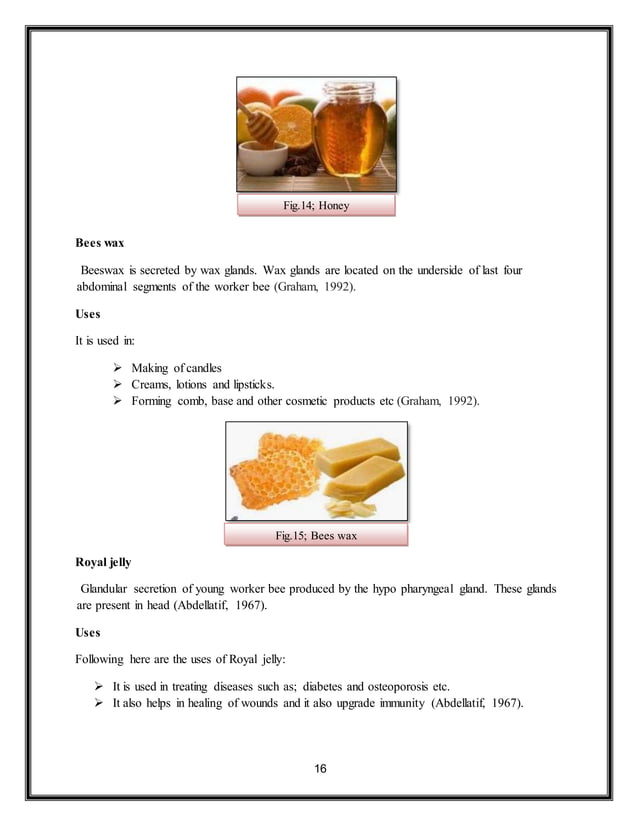 Entomology industries assignment 2 ento | DOCX
