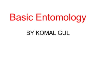 Entomology LECTURE2 (1).pptx
