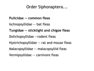 Entomology | PPT