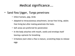 Entomology | PPT