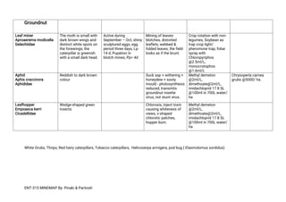Entomology Mindmap for students to look out.pdf