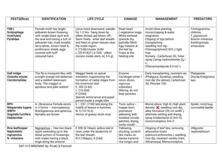 Entomology Mindmap for students to look out.pdf