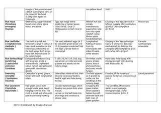 Entomology Mindmap for students to look out.pdf