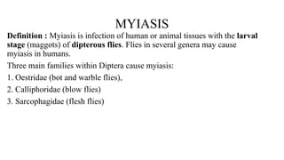 ENTOMOLOGY (MYIASIS) - INFECTION OF HUMAN TISSUE BY MAGGOTS.pptx ...