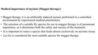 ENTOMOLOGY (MYIASIS) - INFECTION OF HUMAN TISSUE BY MAGGOTS.pptx ...