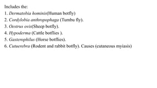 ENTOMOLOGY (MYIASIS) - INFECTION OF HUMAN TISSUE BY MAGGOTS.pptx ...