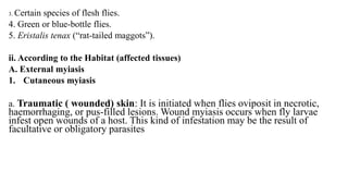 ENTOMOLOGY (MYIASIS) - INFECTION OF HUMAN TISSUE BY MAGGOTS.pptx ...