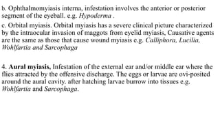 ENTOMOLOGY (MYIASIS) - INFECTION OF HUMAN TISSUE BY MAGGOTS.pptx ...