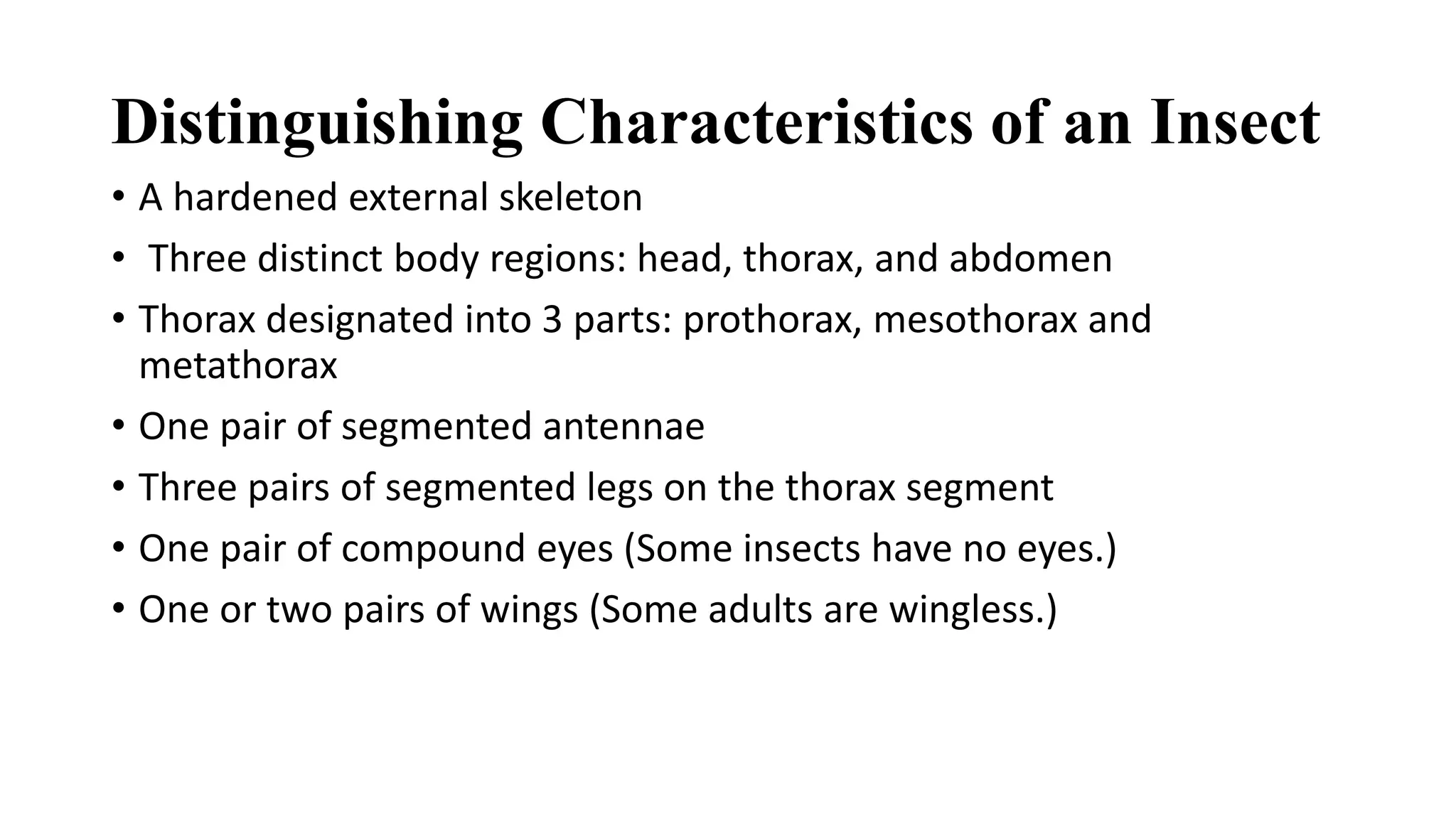 ENTOMOLOGY NOTES POEWRPOINT PRESENTATION.pptx