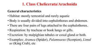 ENTOMOLOGY NOTES POEWRPOINT PRESENTATION.pptx